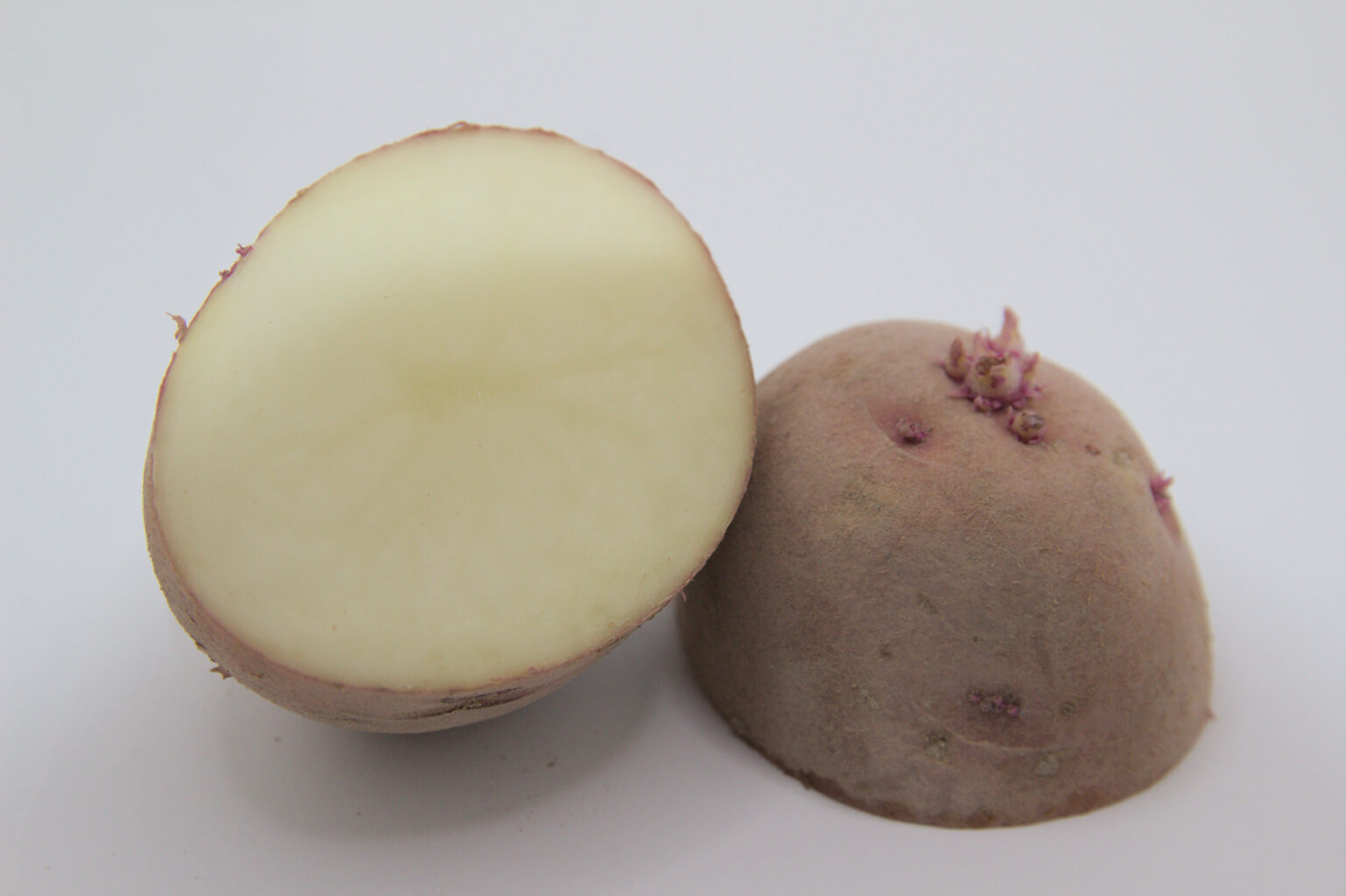 Red Viking Seed Potato - Johnny Potato Seed